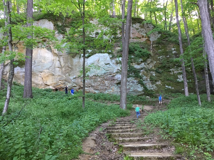 Summer Wrap – Wildcat Den – Troy Jackson Outdoors