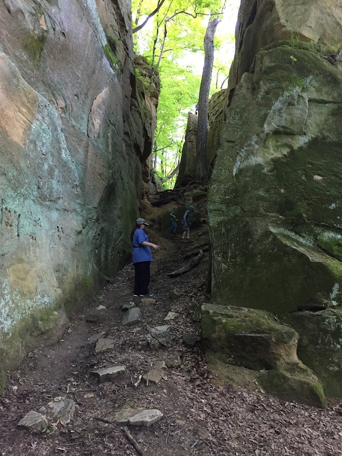 Summer Wrap – Wildcat Den – Troy Jackson Outdoors