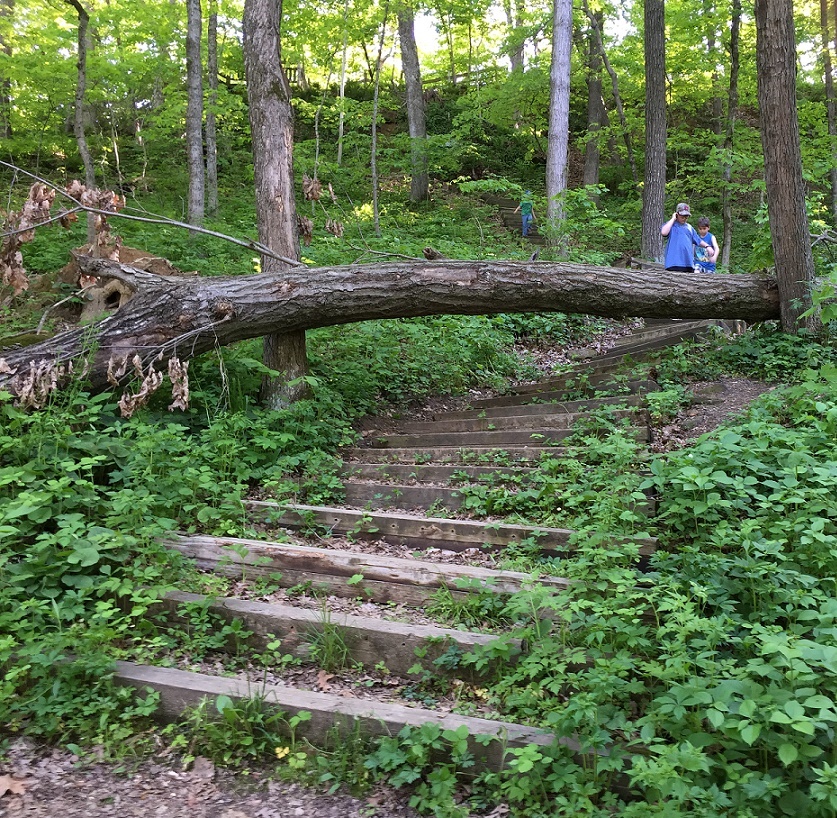 Summer Wrap – Wildcat Den – Troy Jackson Outdoors