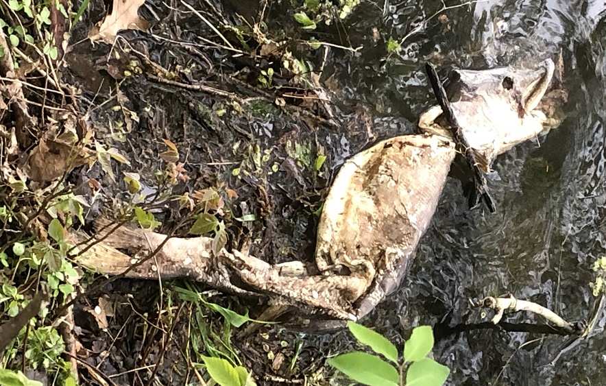 A Really Crappie Day – Troy Jackson Outdoors