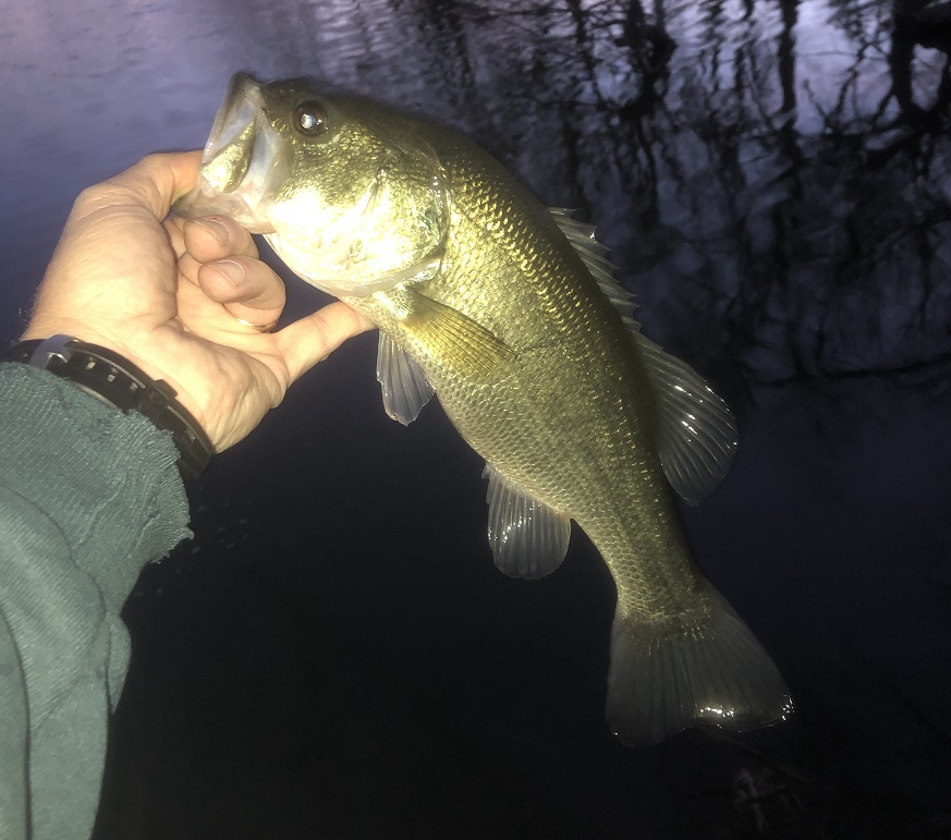 Wichita, KS Fishing Extras – Troy Jackson Outdoors