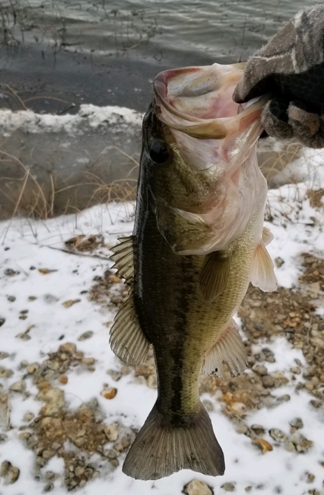 Top 5 Update – “Winter” Bass – Troy Jackson Outdoors