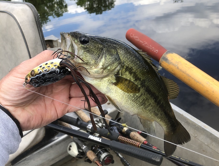 2019 Fishing Recap – Lures Part I – Troy Jackson Outdoors