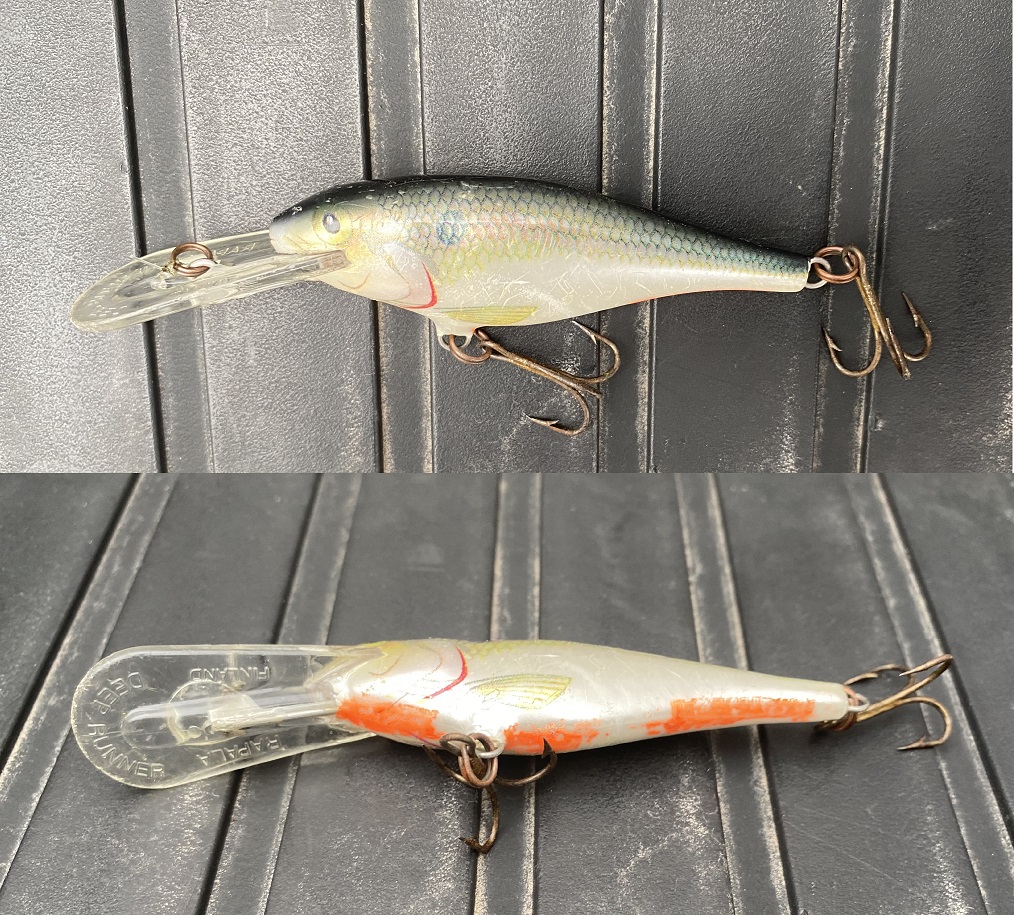 Snakeden Hollow Report – March 20 – Troy Jackson Outdoors
