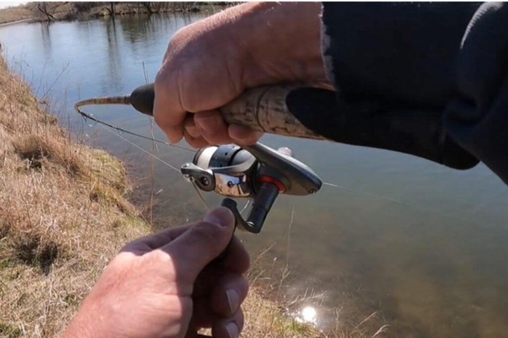 Catch Analysis – Big Ned – Troy Jackson Outdoors
