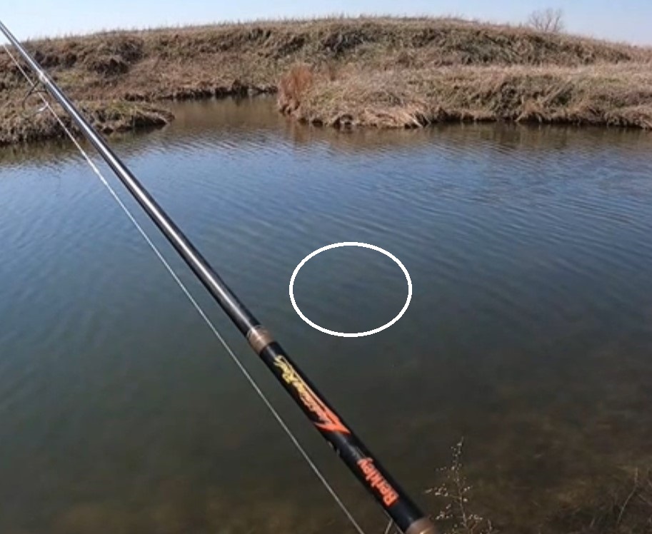 Catch Analysis – Big Ned – Troy Jackson Outdoors