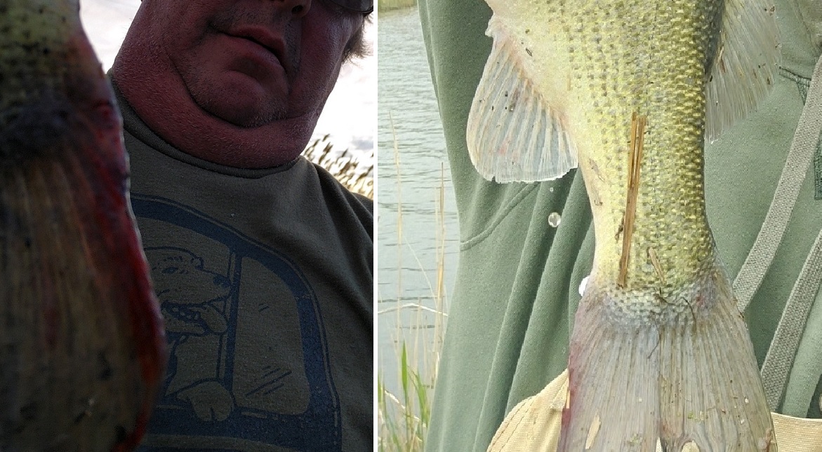 Top 5 Update – Troy Jackson Outdoors