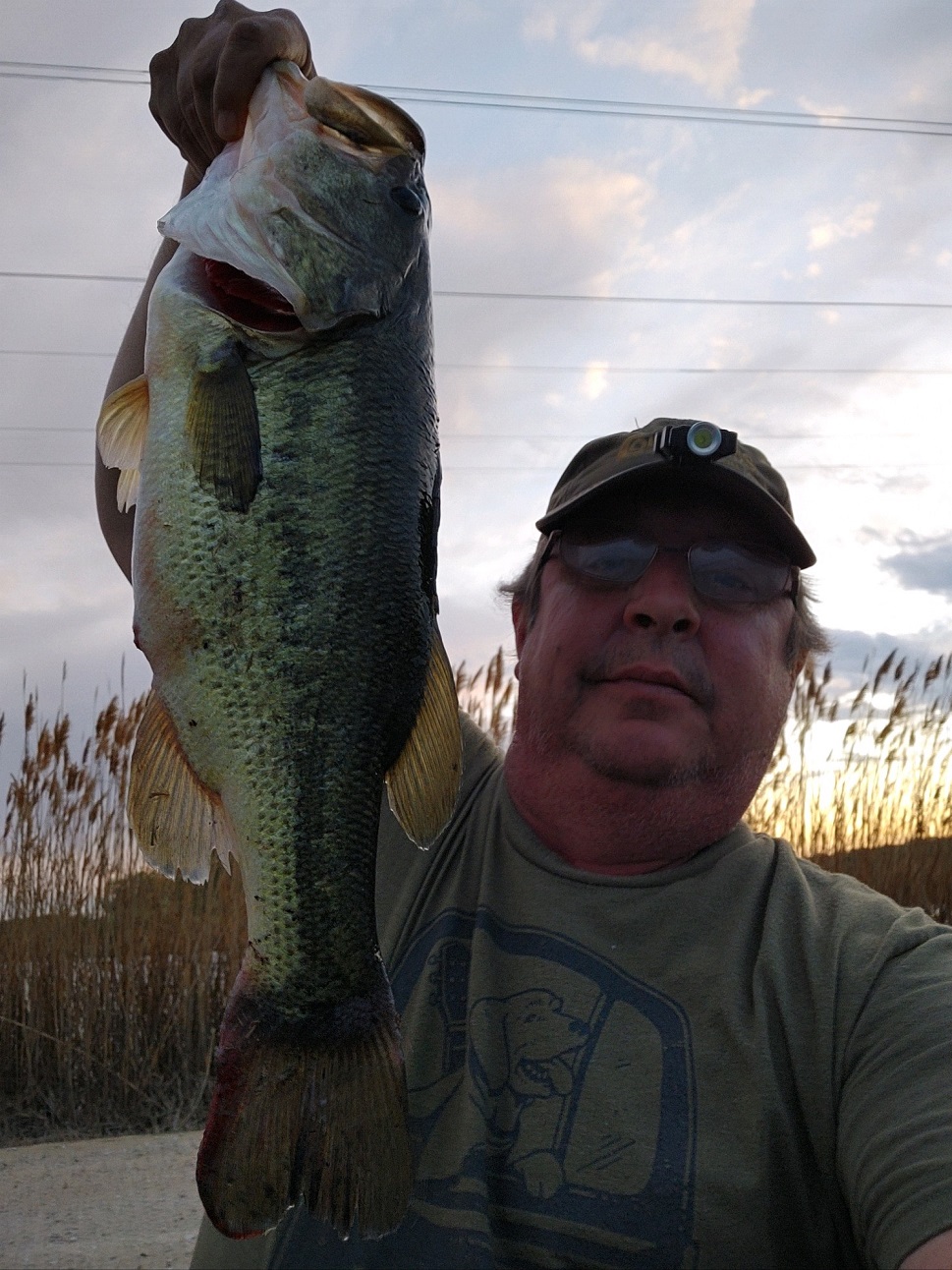 Top 5 Update – Troy Jackson Outdoors