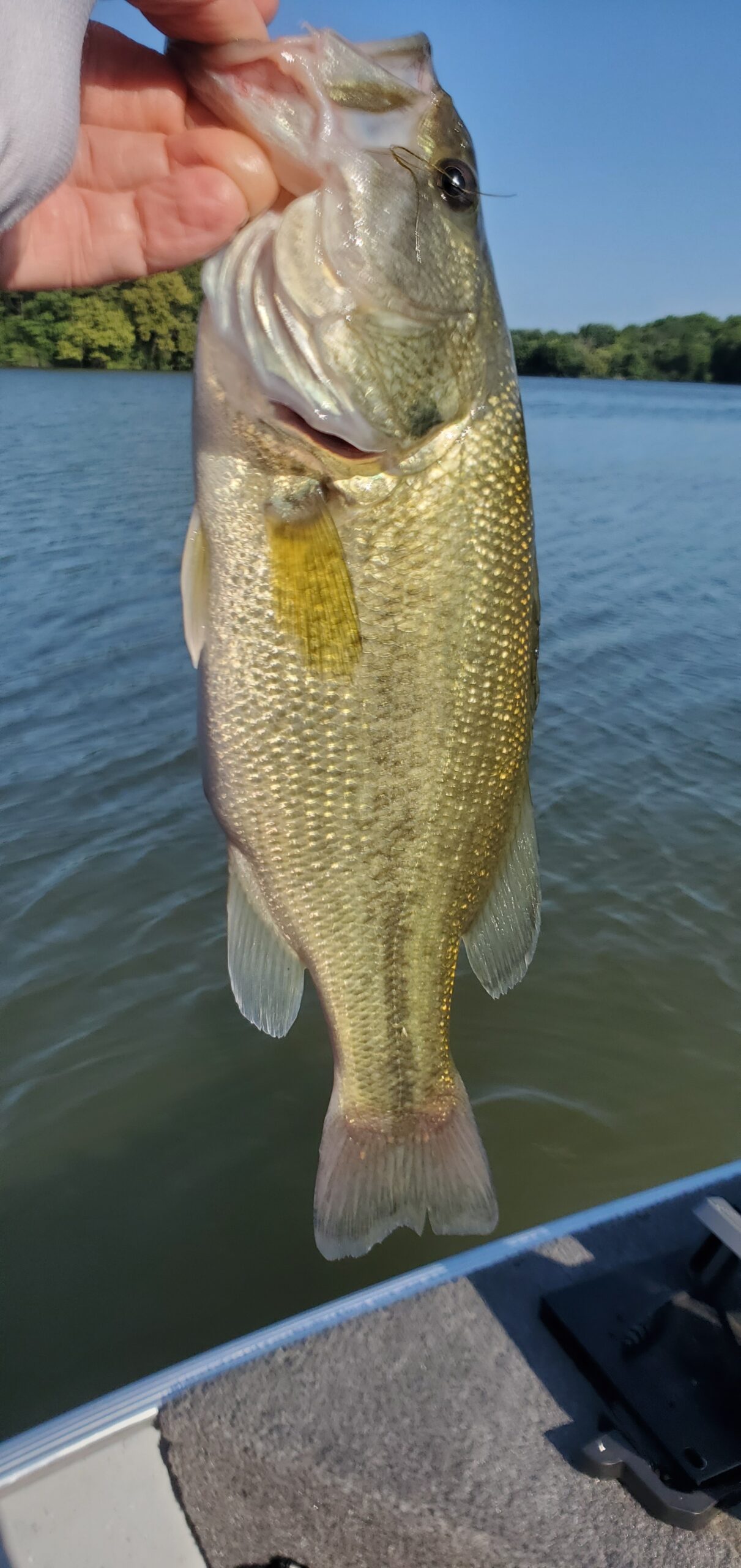 Top 5 Update – Troy Jackson Outdoors