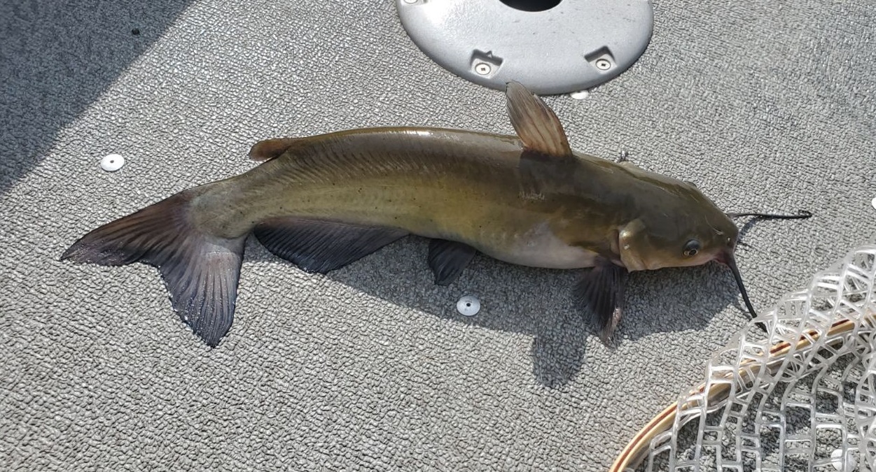 Top 5 Update – Troy Jackson Outdoors