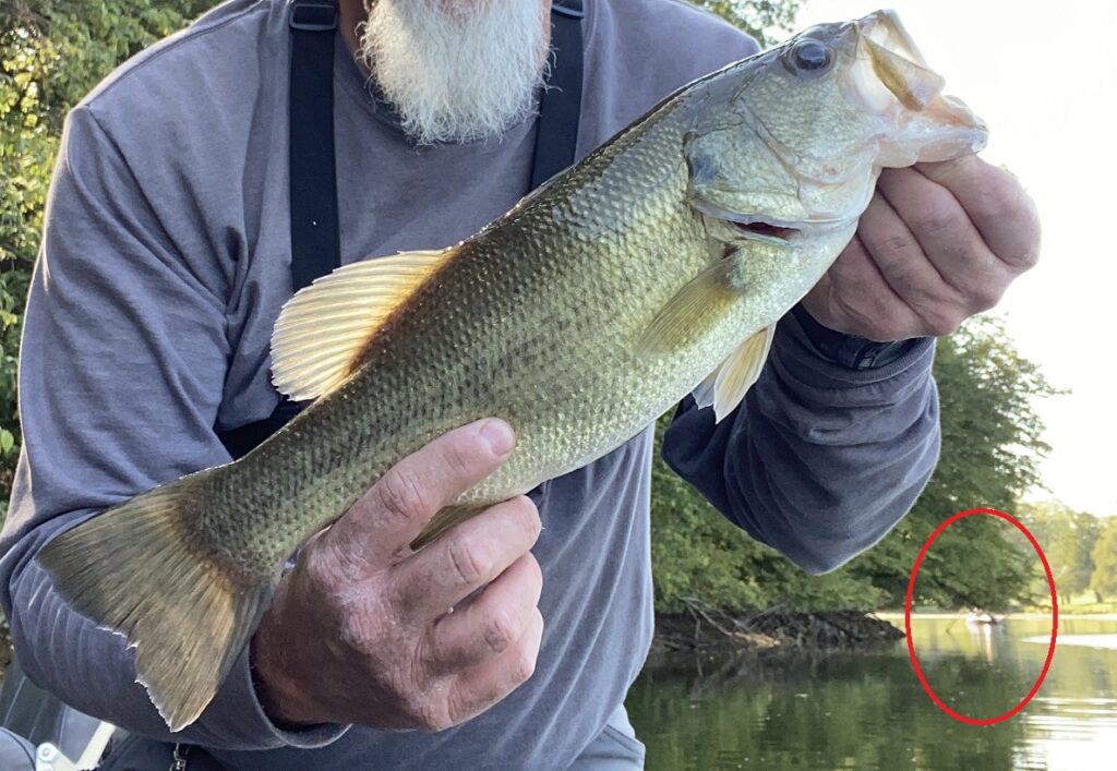 Lake Storey Notes – September 15 – Troy Jackson Outdoors