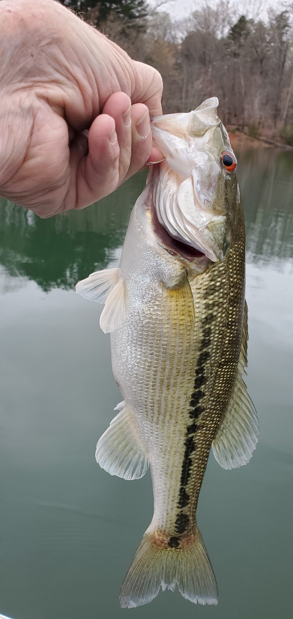 Top 5 Update – Troy Jackson Outdoors