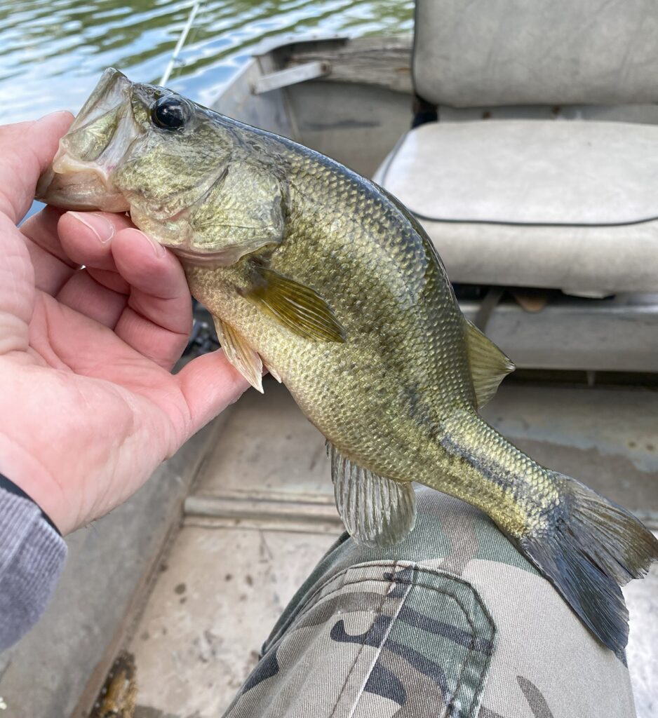 Hennepin Canal Report – May 8 – Troy Jackson Outdoors