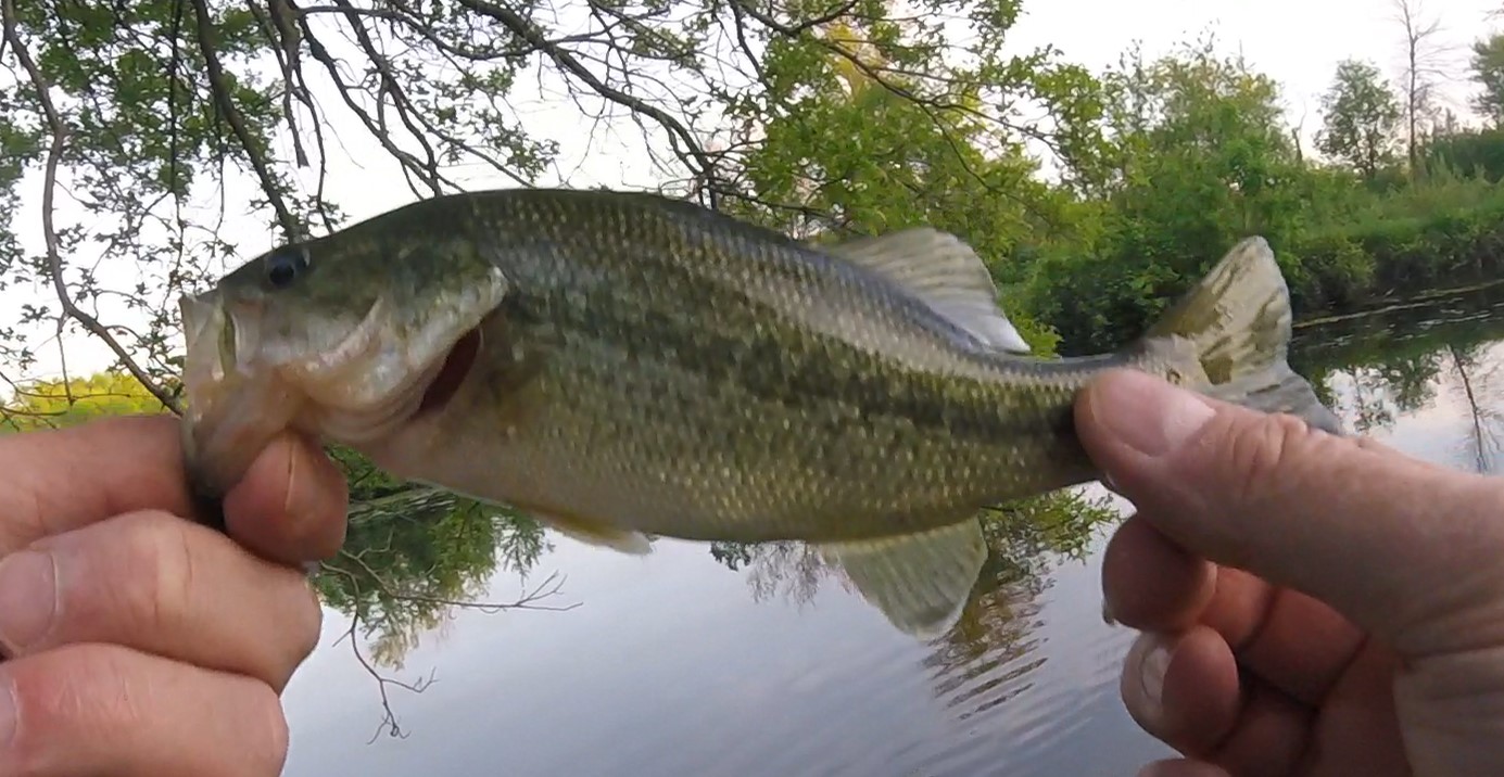 Troy Jackson Outdoors – Fish, family, friends, fun and…some foolishness.